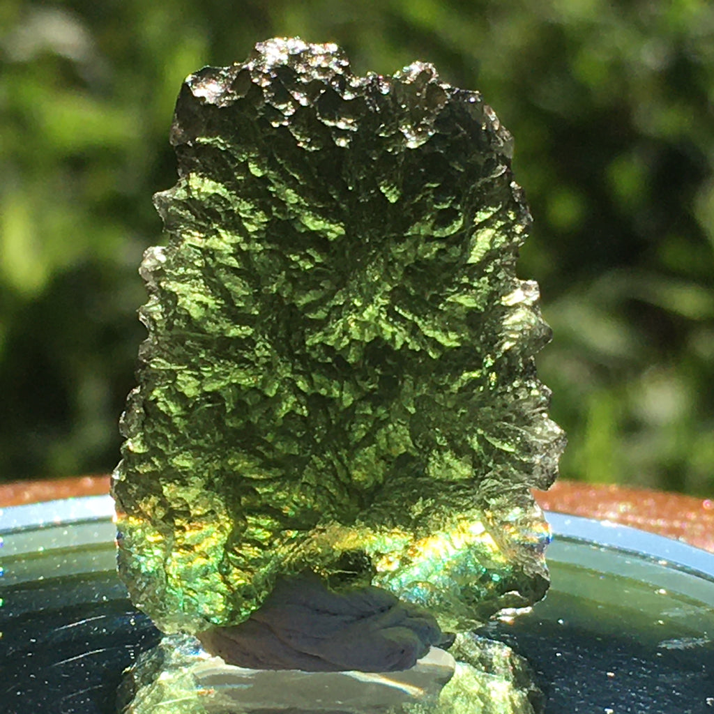 Genuine Moldavite Certified Authentic Czech Republic | Moldavite Life