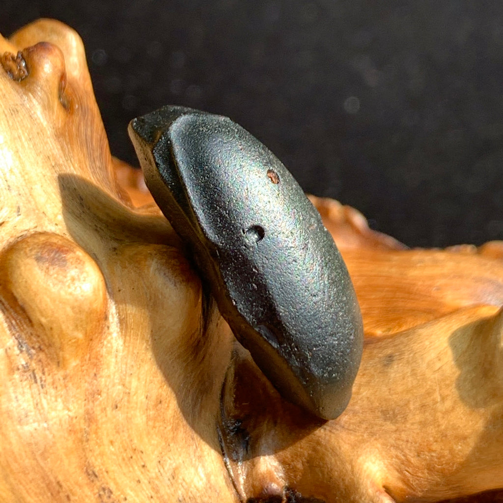Australite Tektite Button UFO | Moldavite Life
