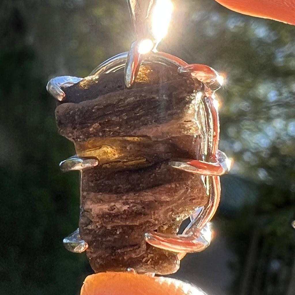 Darwinite Jewelry | Darwin Glass Tektite Jewelry | Moldavite Life