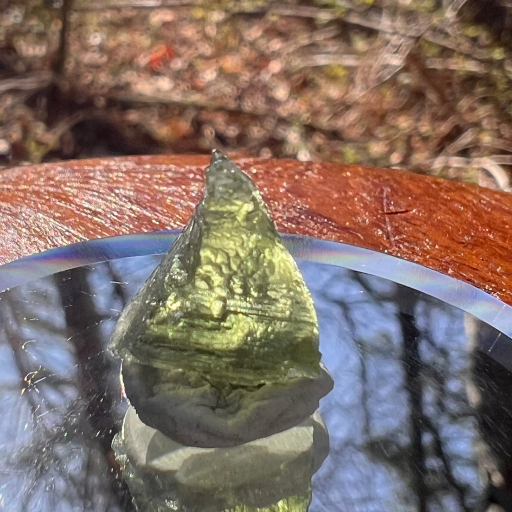 Raw Moldavite Genuine Certified from Czech | Moldavite Life