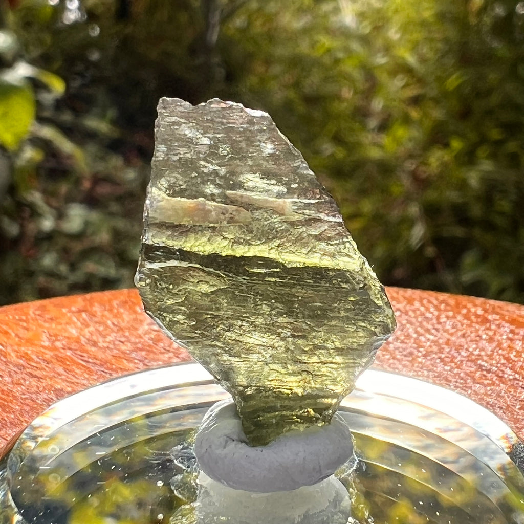 Raw Moldavite Genuine Certified from Czech | Moldavite Life