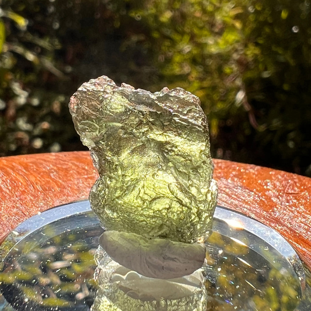 Raw Moldavite Genuine Certified from Czech | Moldavite Life