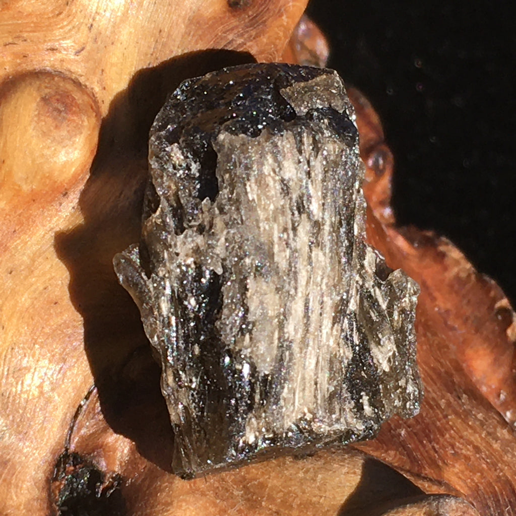 Darwinite Darwin Glass Tektite | MoldaviteJewelry.com The #1 Source ...