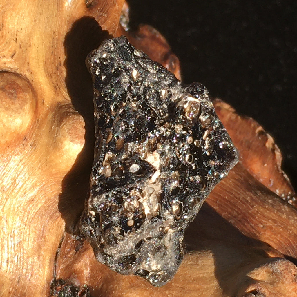 Darwinite Darwin Glass Tektite | MoldaviteJewelry.com The #1 Source ...