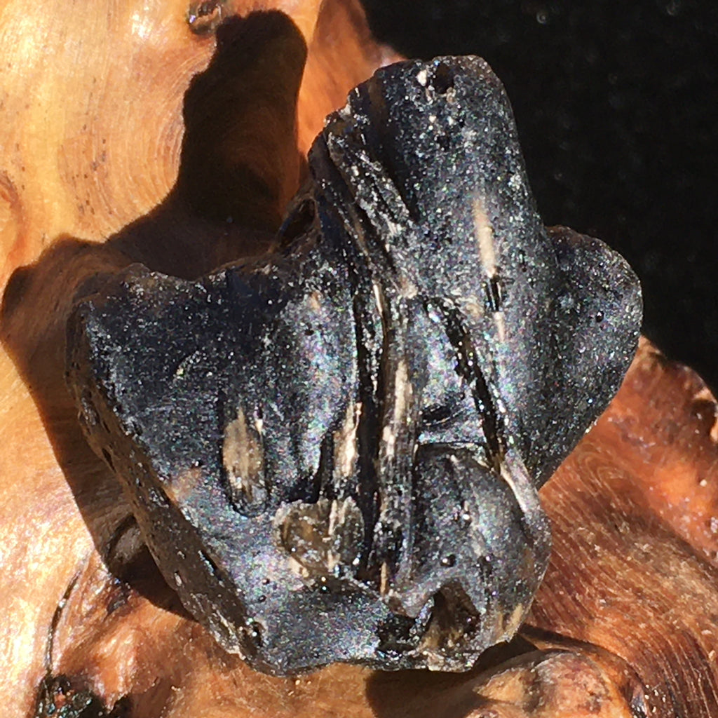 Darwinite Darwin Glass Tektite | MoldaviteJewelry.com The #1 Source ...