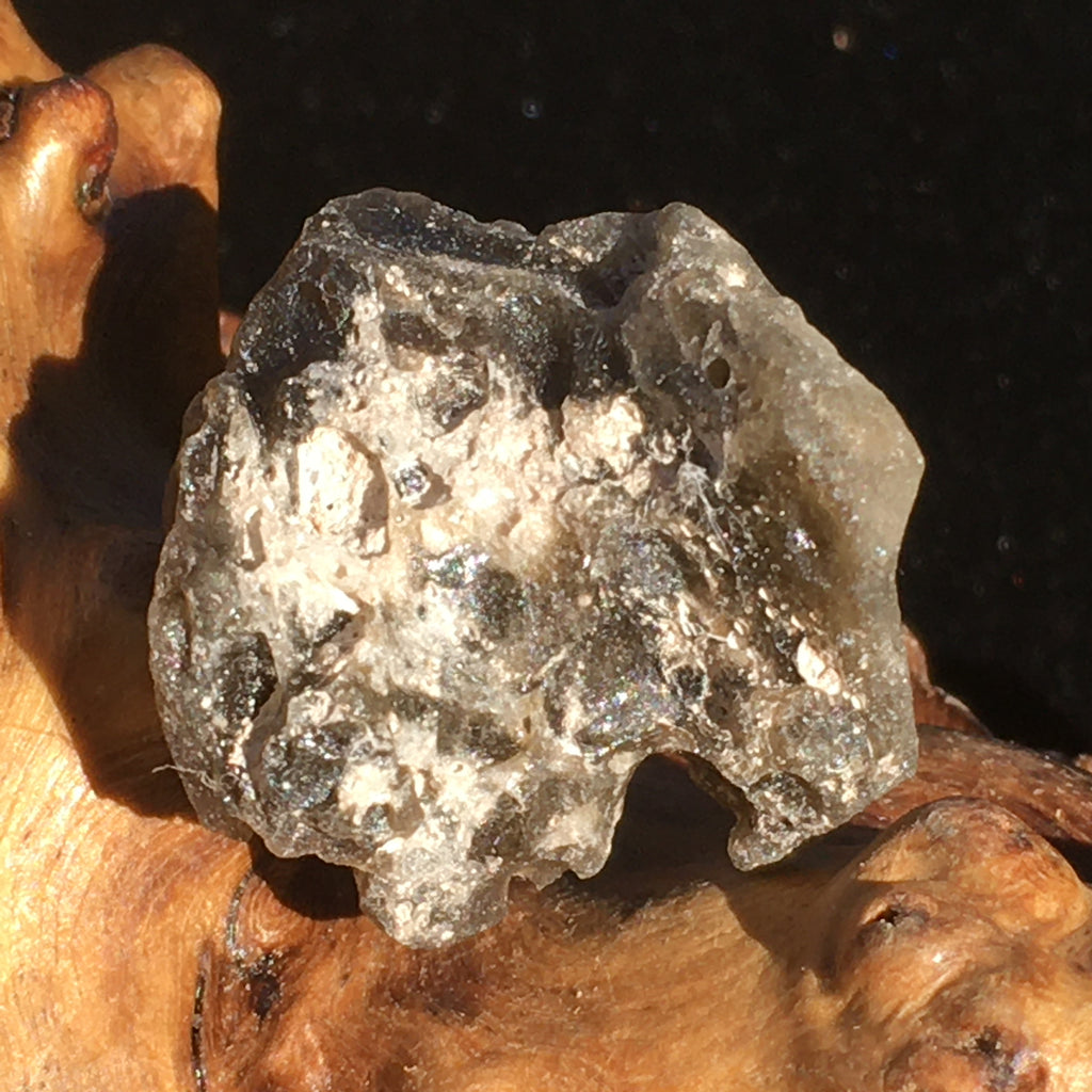 Darwinite Darwin Glass Tektite | MoldaviteJewelry.com The #1 Source ...