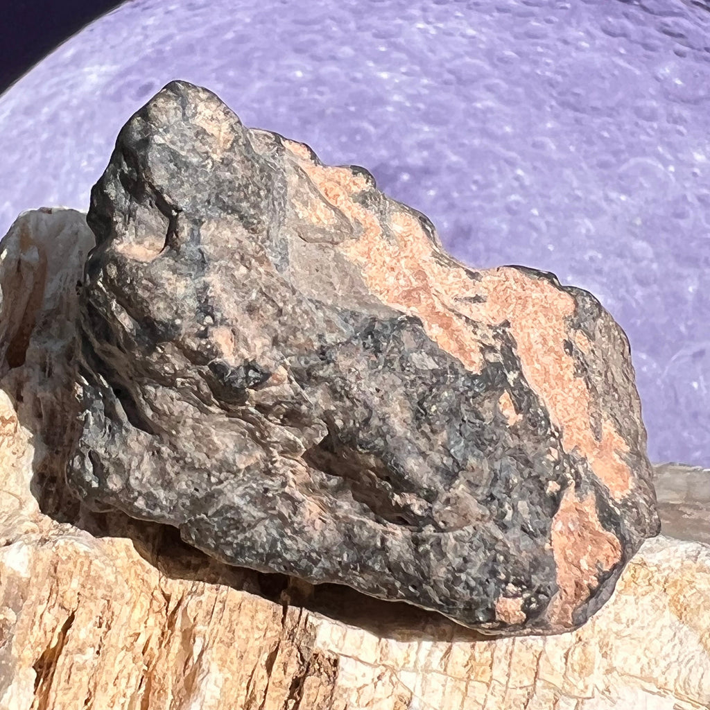 Lunar Meteorite feldspathic melt breccia Lunite | moldavitejewelry.com ...