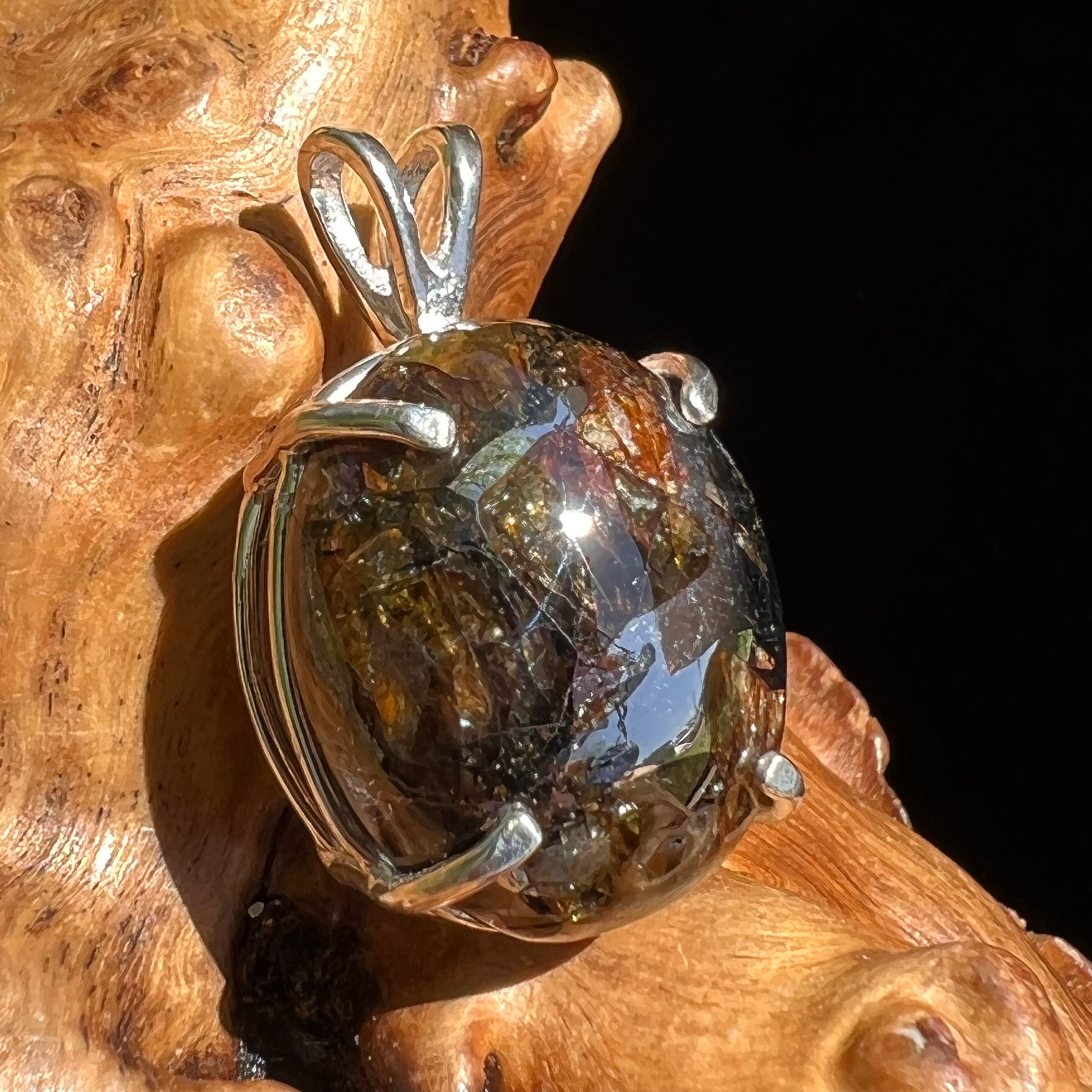 Stony Iron Pallasite Meteorite Jewelry | Moldavite Life Stony Iron Pallasite Meteorite Jewelry | Moldavite Life