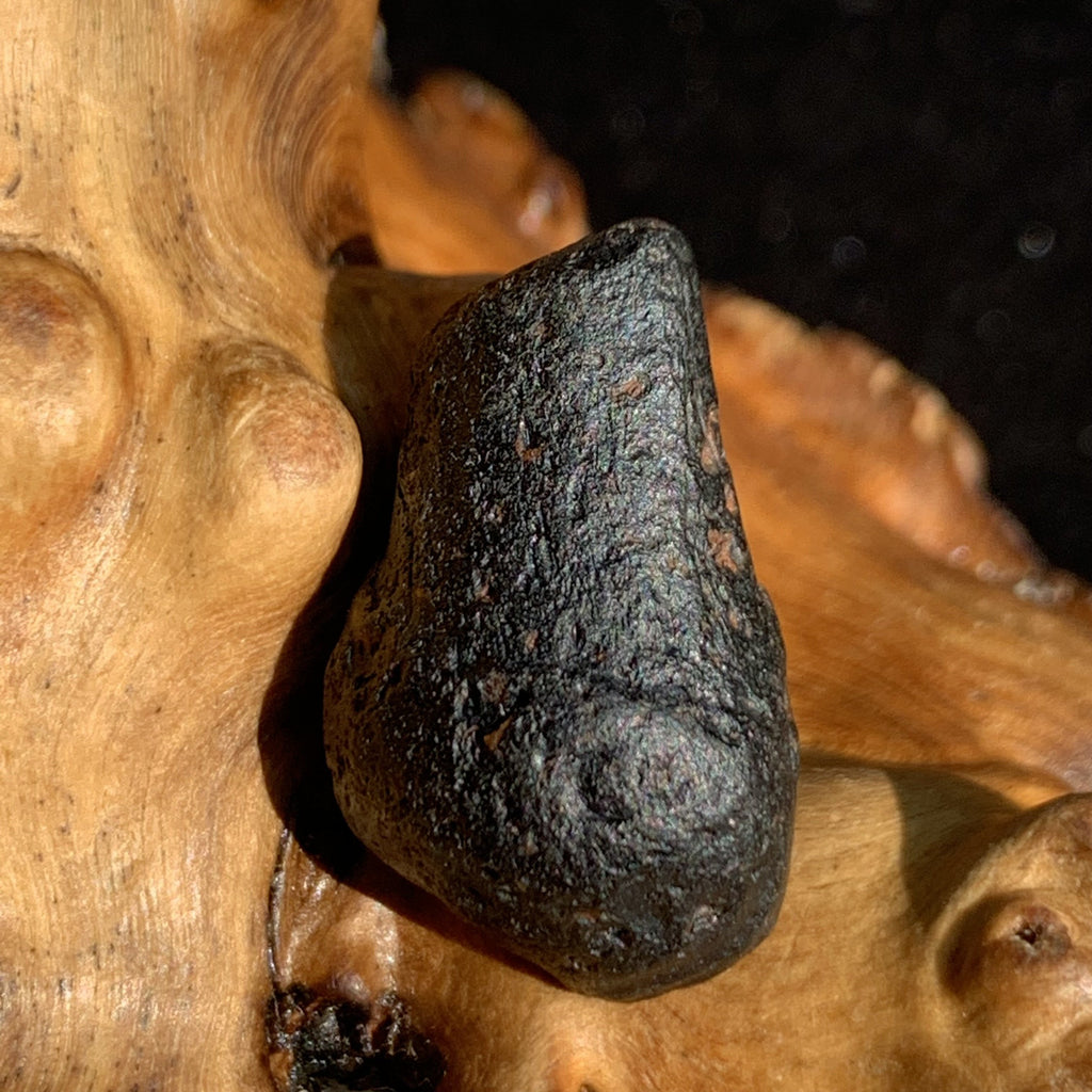 Australite Tektite Button UFO | MoldaviteJewelry.com The #1 Source ...